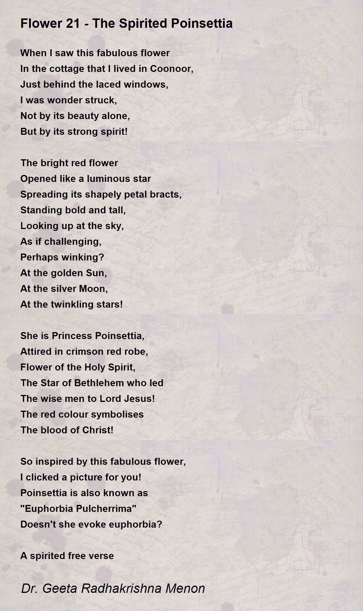 Flower 21 - The Spirited Poinsettia - Flower 21 - The Spirited ...