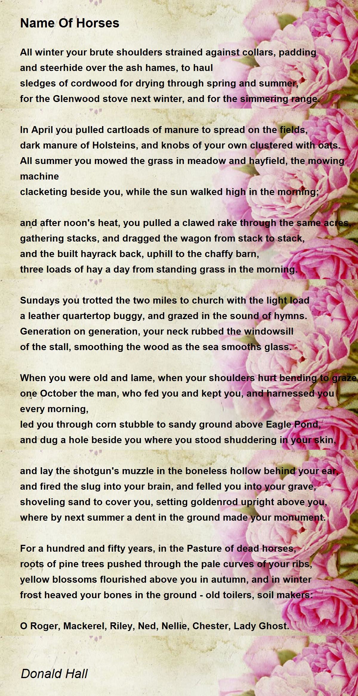 Name Of Horses Poem by Donald Hall - Poem Hunter