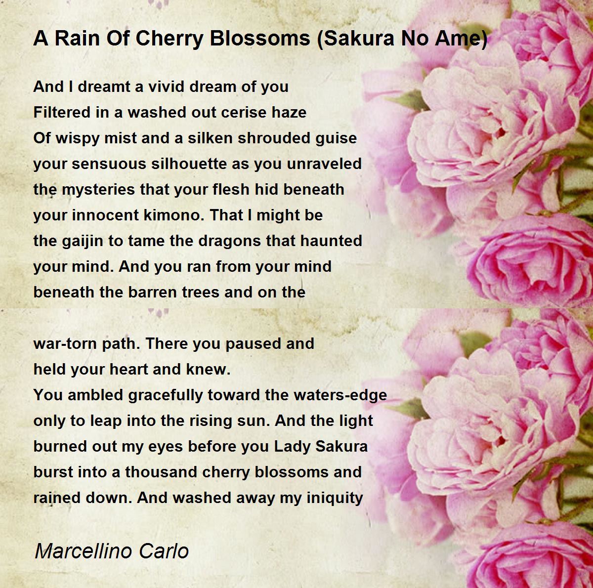 A Rain Of Cherry Blossoms (Sakura No Ame) Poem by Marcellino Carlo ...