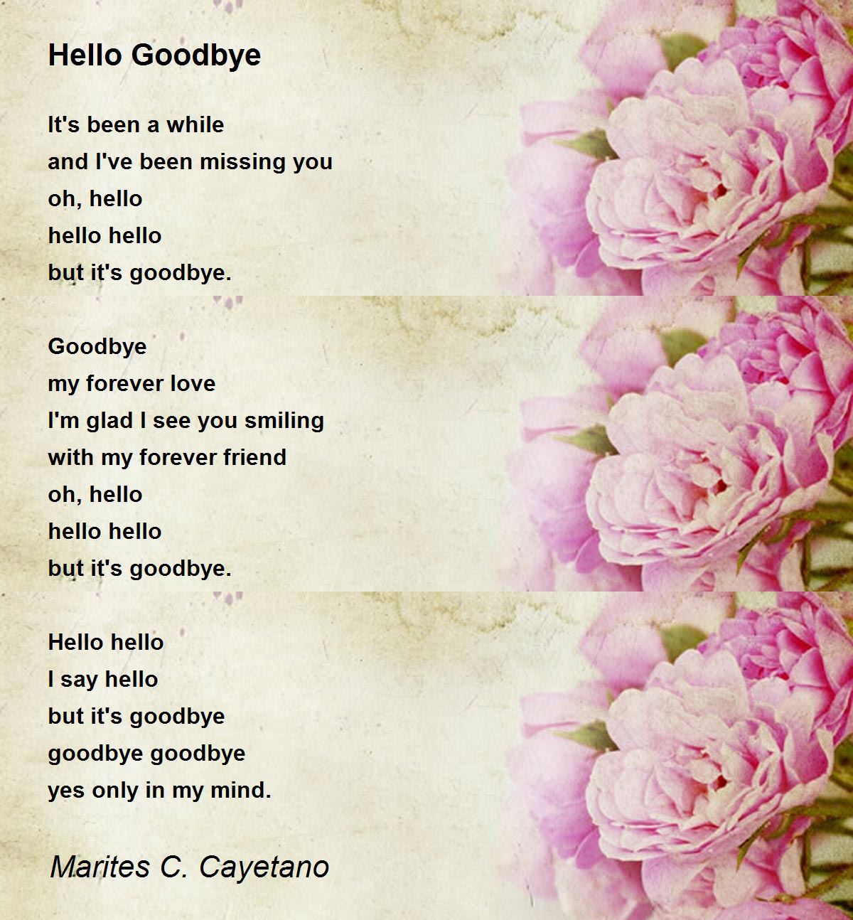 Between Hello And Goodbye Quotes