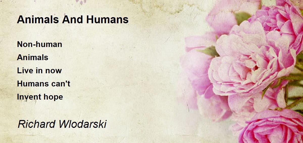 Animals And Humans - Animals And Humans Poem by Richard Wlodarski