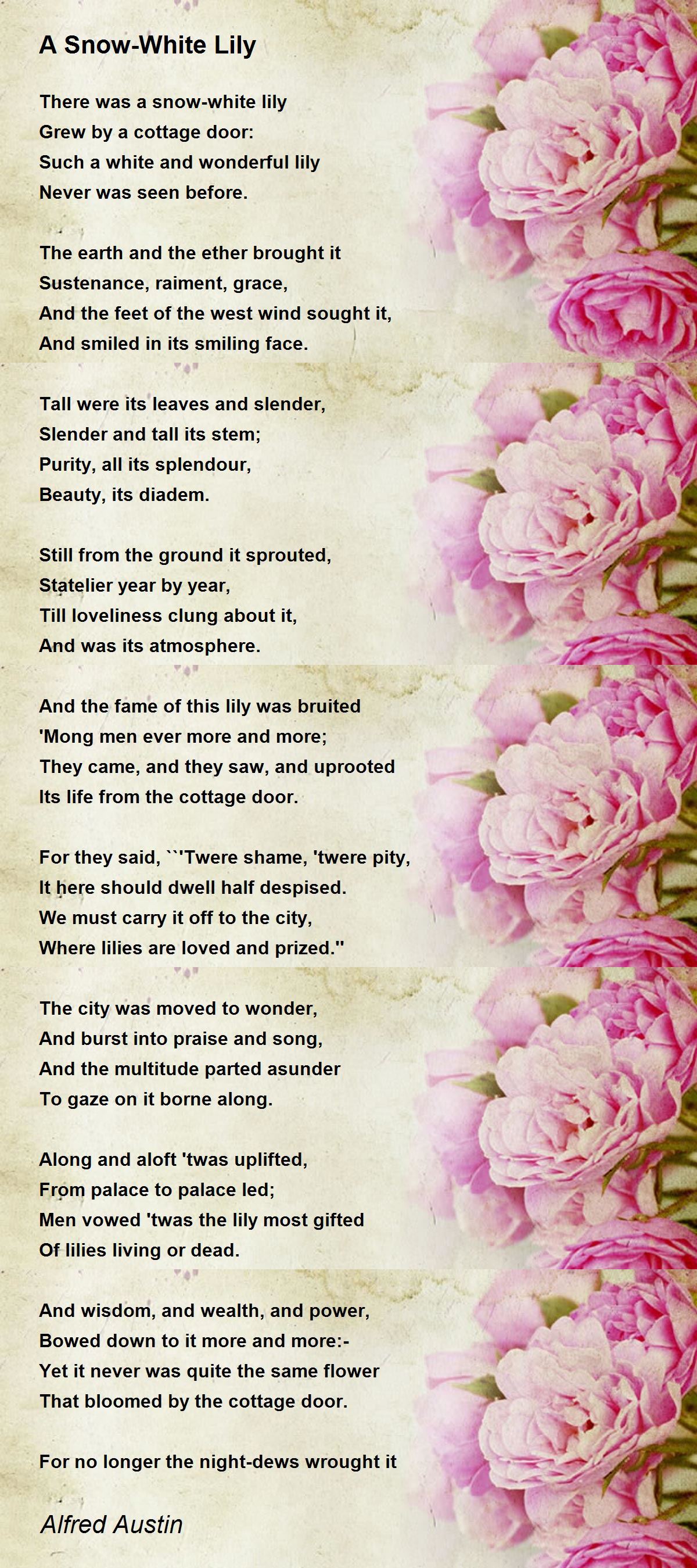 Lilies In Poetry at Tayla Burdett blog
