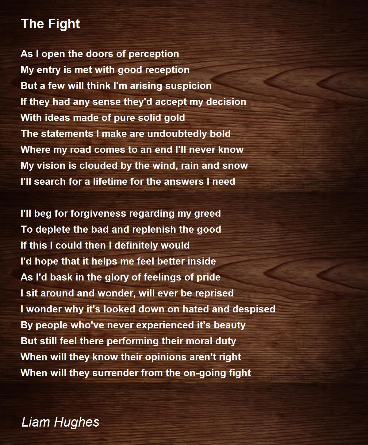 The Fight - The Fight Poem by Liam Hughes