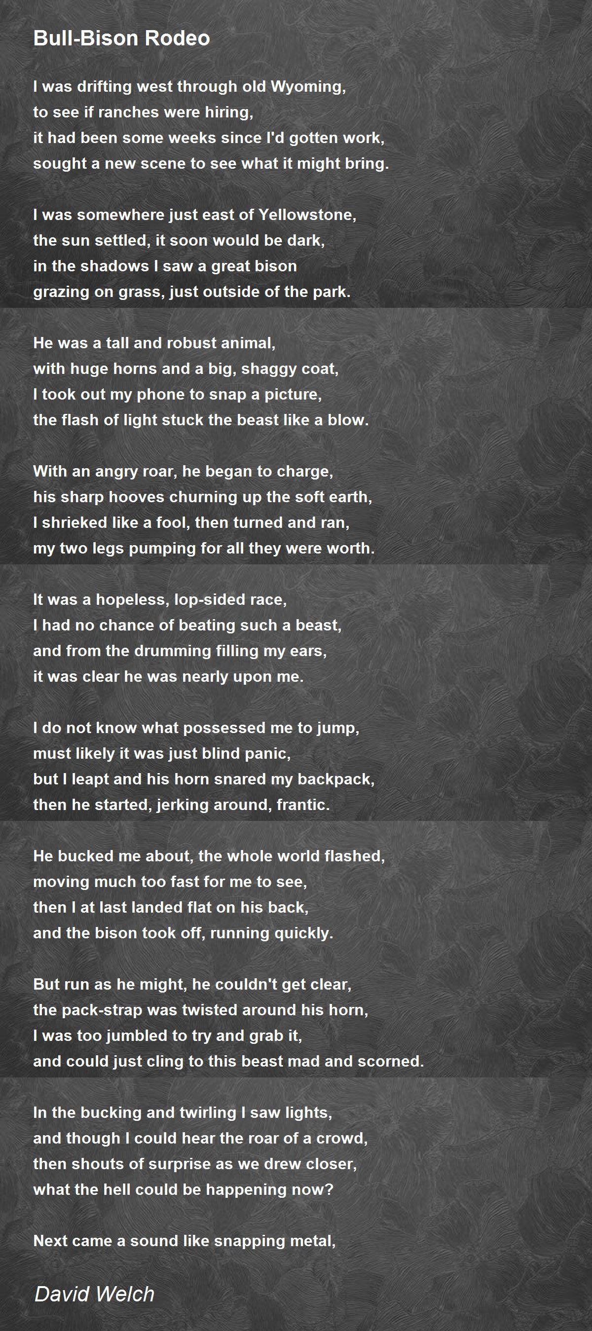 Bull-Bison Rodeo by David Welch - Bull-Bison Rodeo Poem