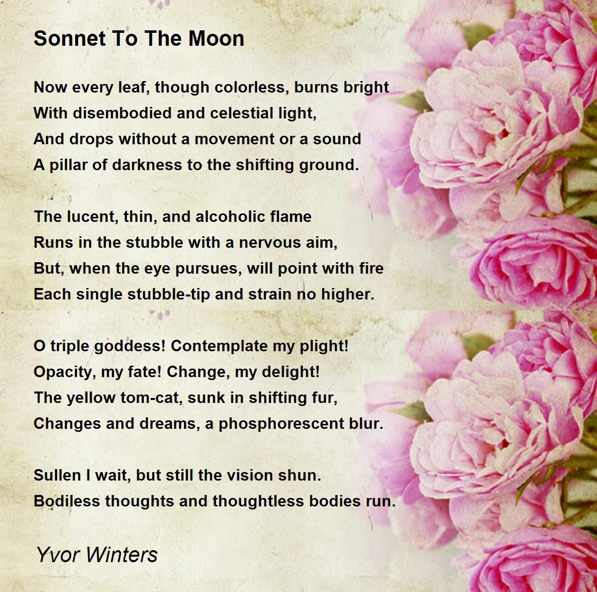 Winter Moon Poem