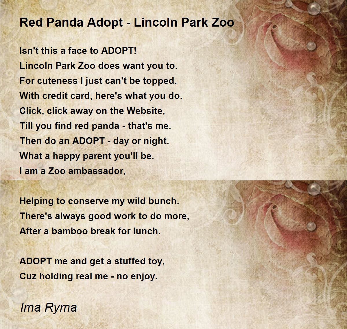 Red Panda Adopt - Lincoln Park Zoo - Red Panda Adopt - Lincoln Park Zoo ...