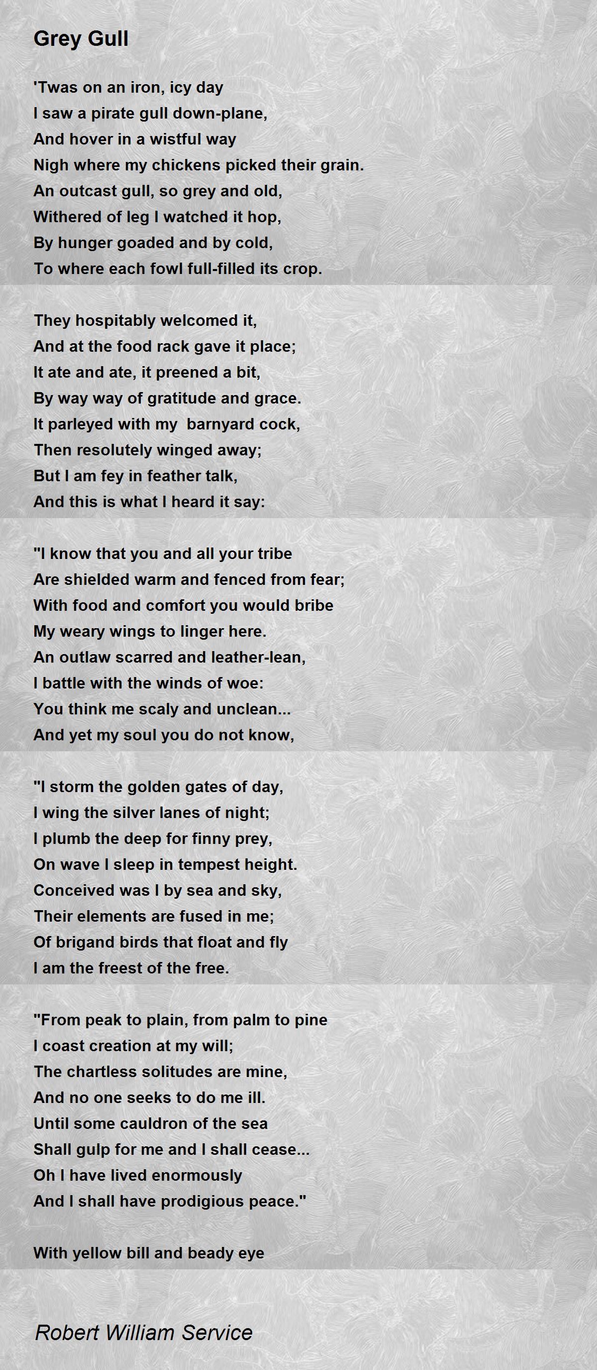 Grey Gull - Grey Gull Poem by Robert William Service