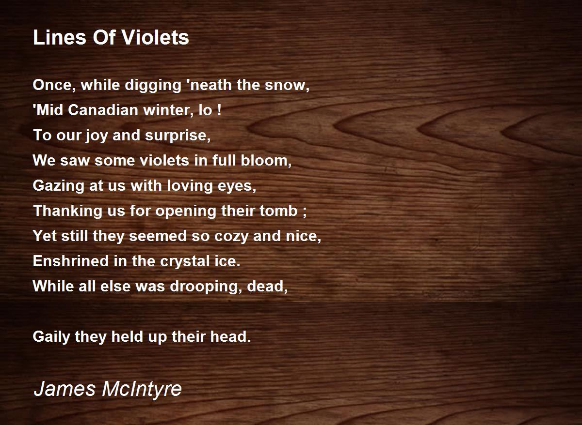 Lines Of Violets by James McIntyre - Lines Of Violets Poem