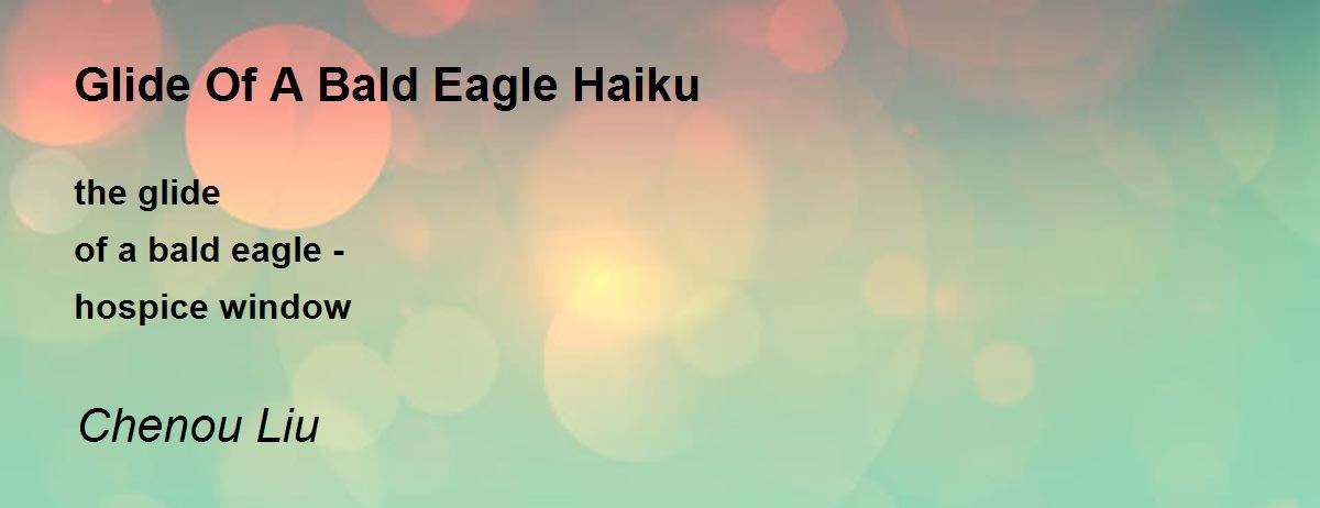 Glide Of A Bald Eagle Haiku - Glide Of A Bald Eagle Haiku Poem by Chen ...