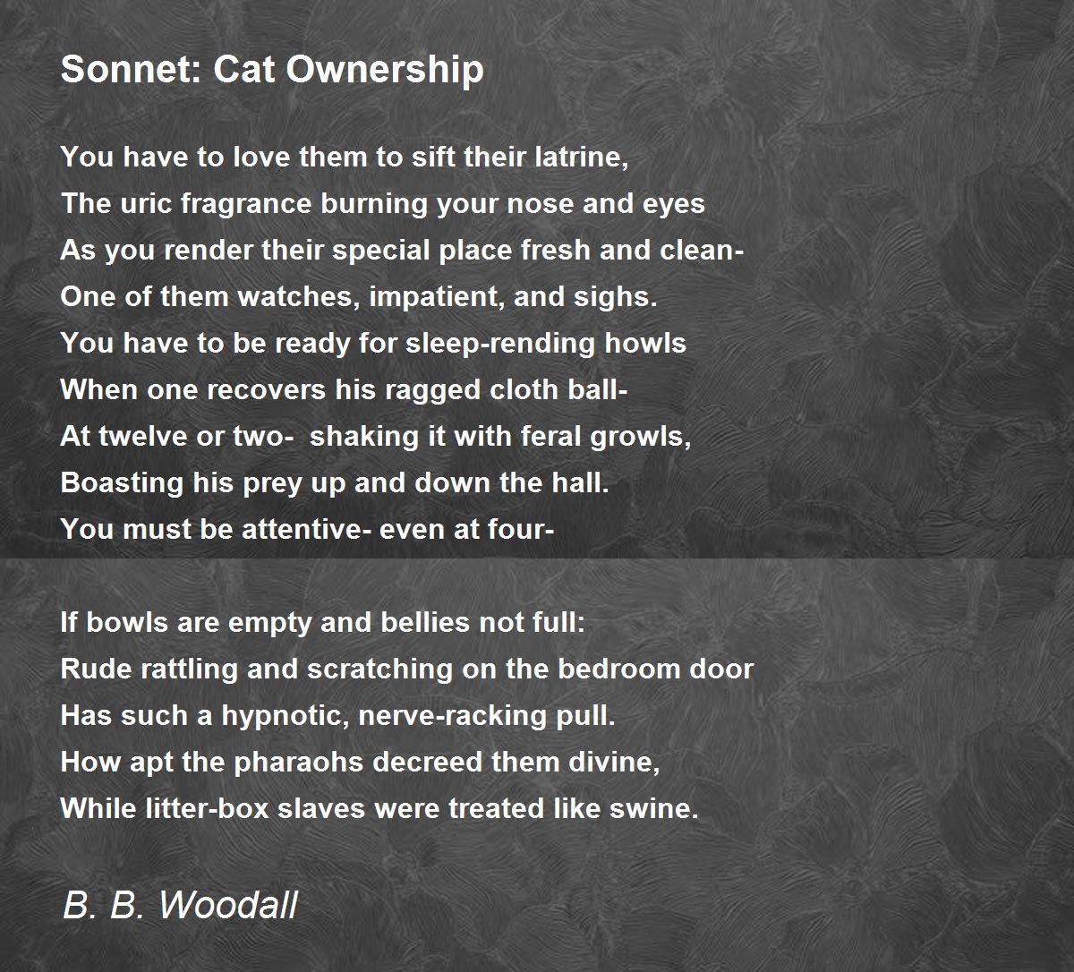 Sonnet: Cat Ownership Poem by B. B. Woodall - Poem Hunter