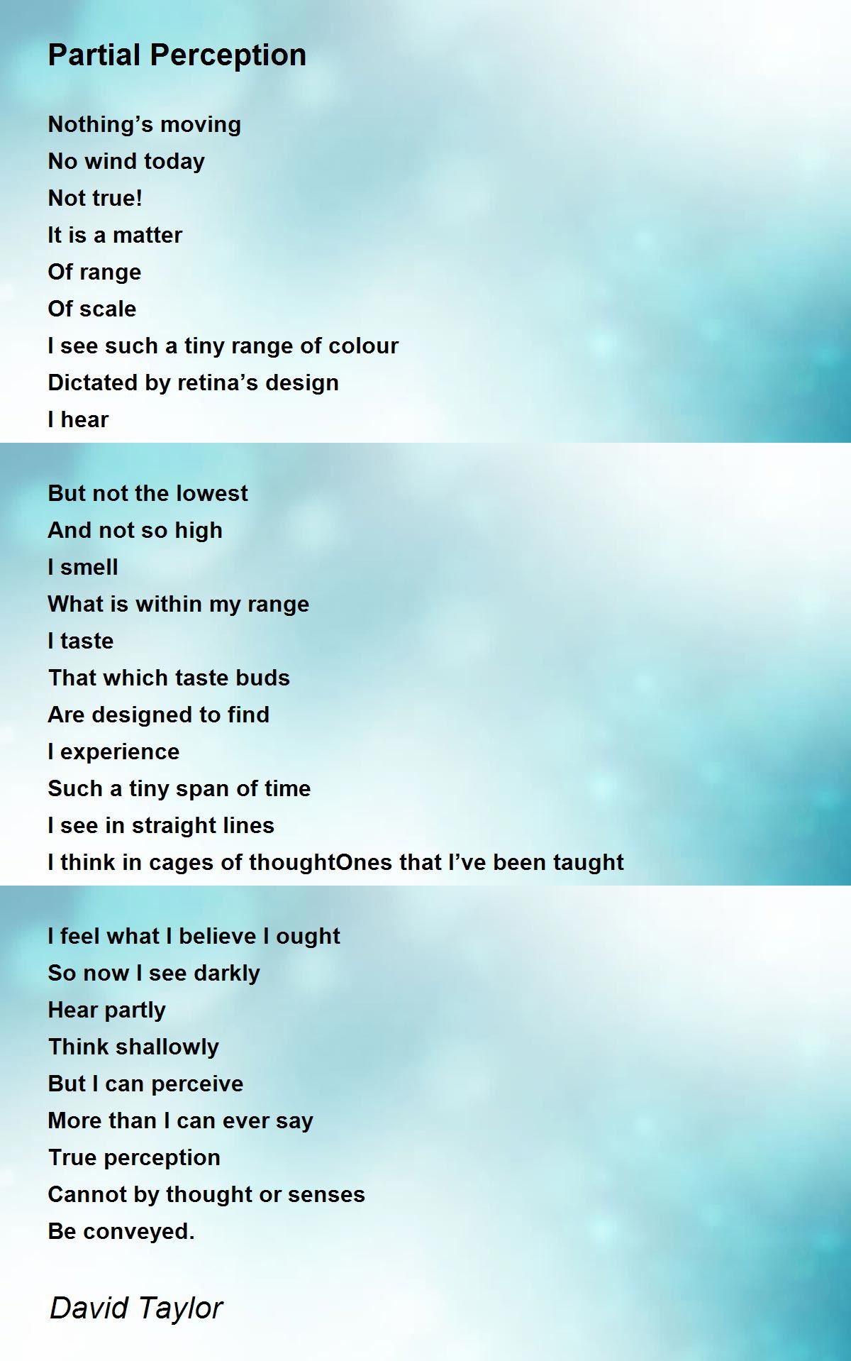 Partial Perception - Partial Perception Poem by David Taylor